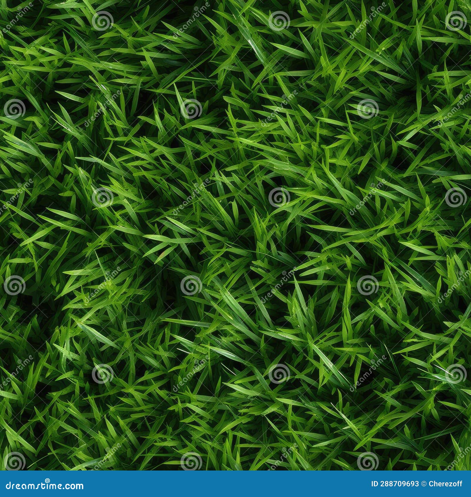 Grass Top View, Seamless Texture Stock Image - Image of garden, nature ...