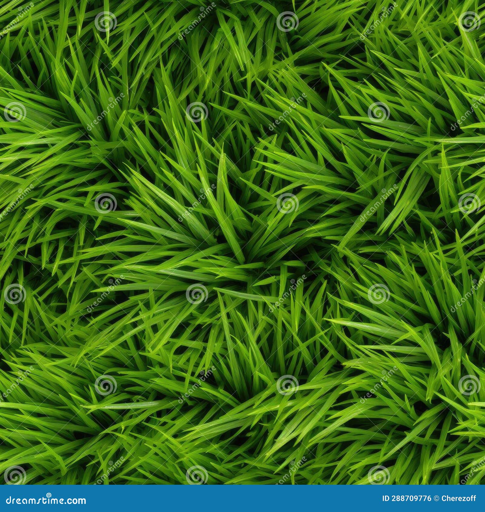 Grass Top View, Seamless Texture Stock Photo - Image of park, seamless ...