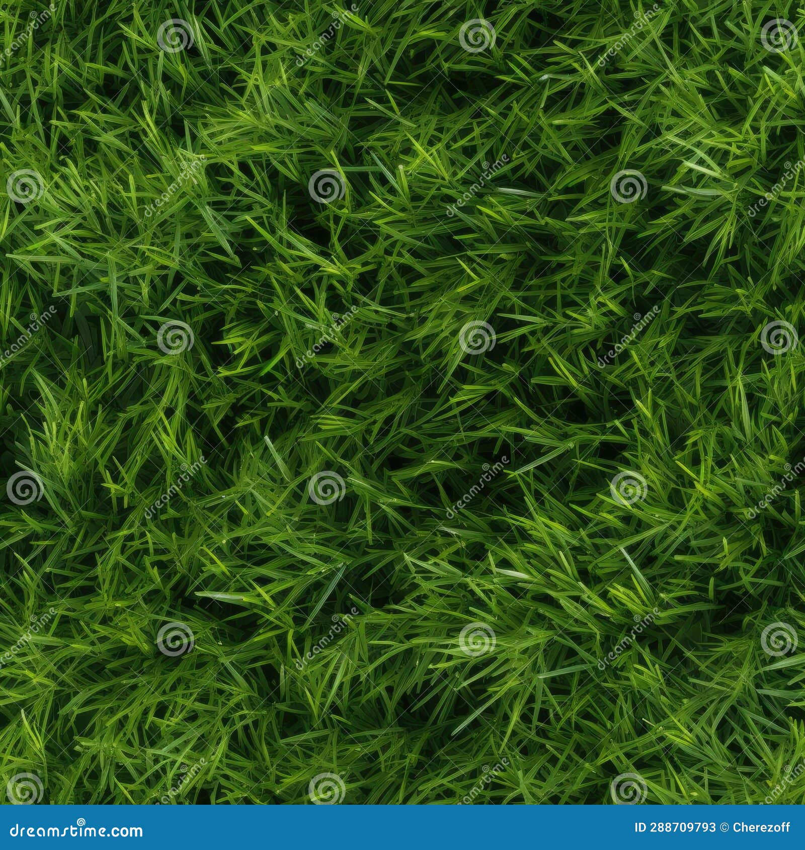 Grass Top View, Seamless Texture Stock Image - Image of blade, fresh ...