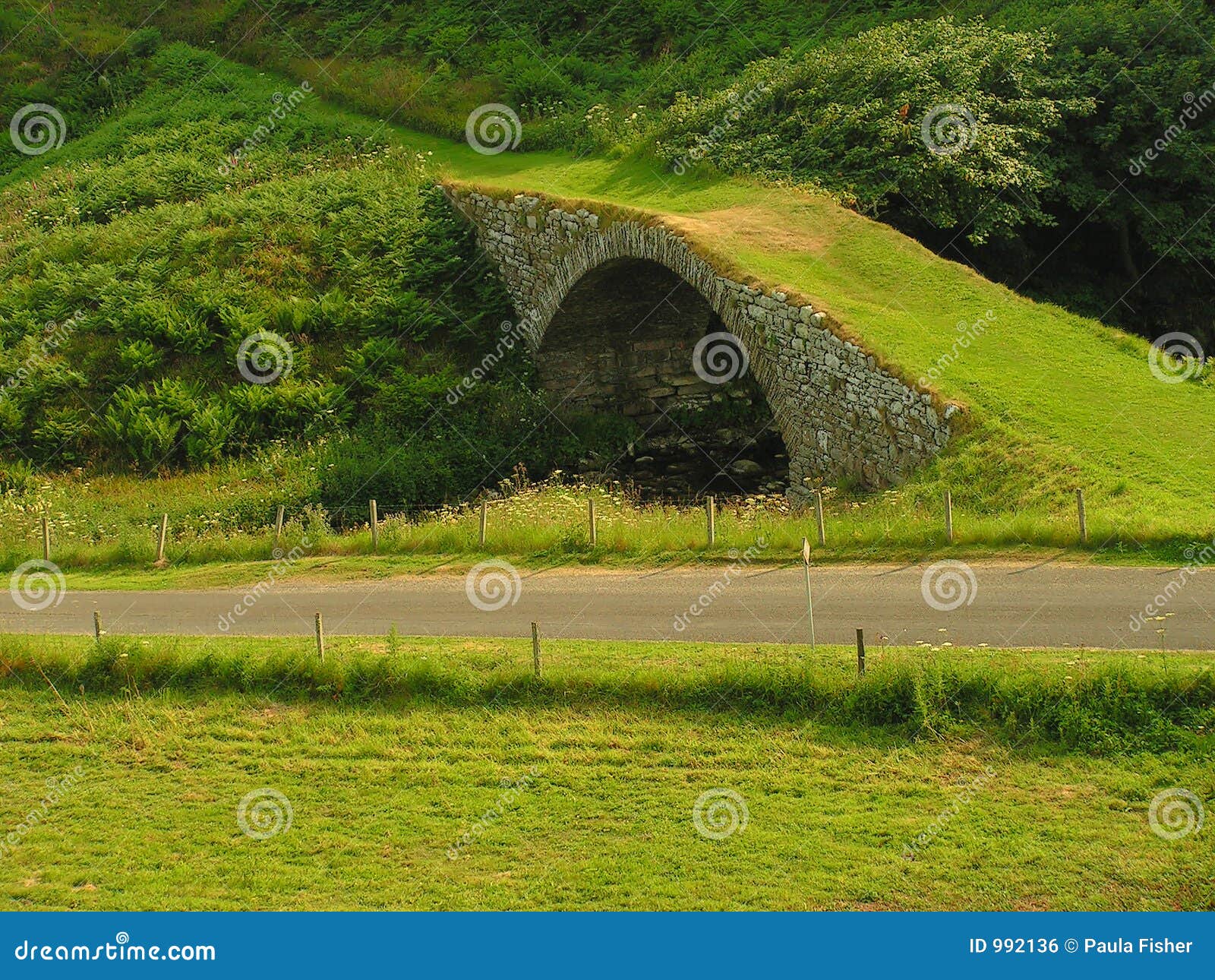 Grass Track Bridge. stock photo. Image of archway, vegetation - 992136