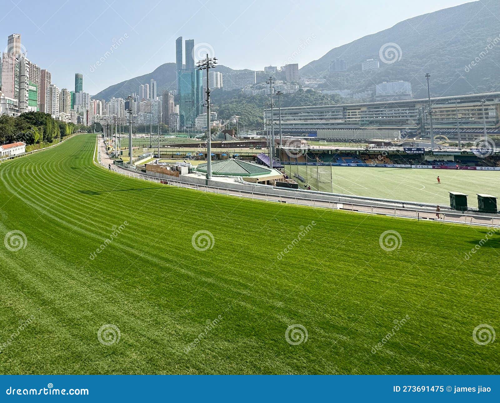 Grass And Track Texture Stock Photography | CartoonDealer.com #45936506