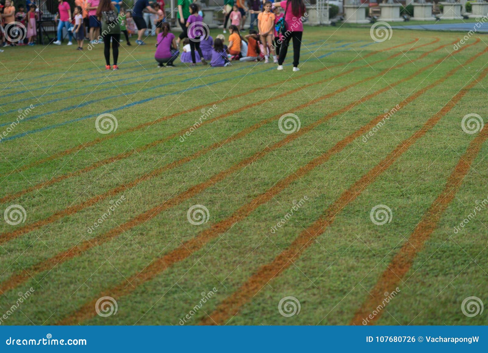 Grass And Track Texture Stock Photography | CartoonDealer.com #45936506