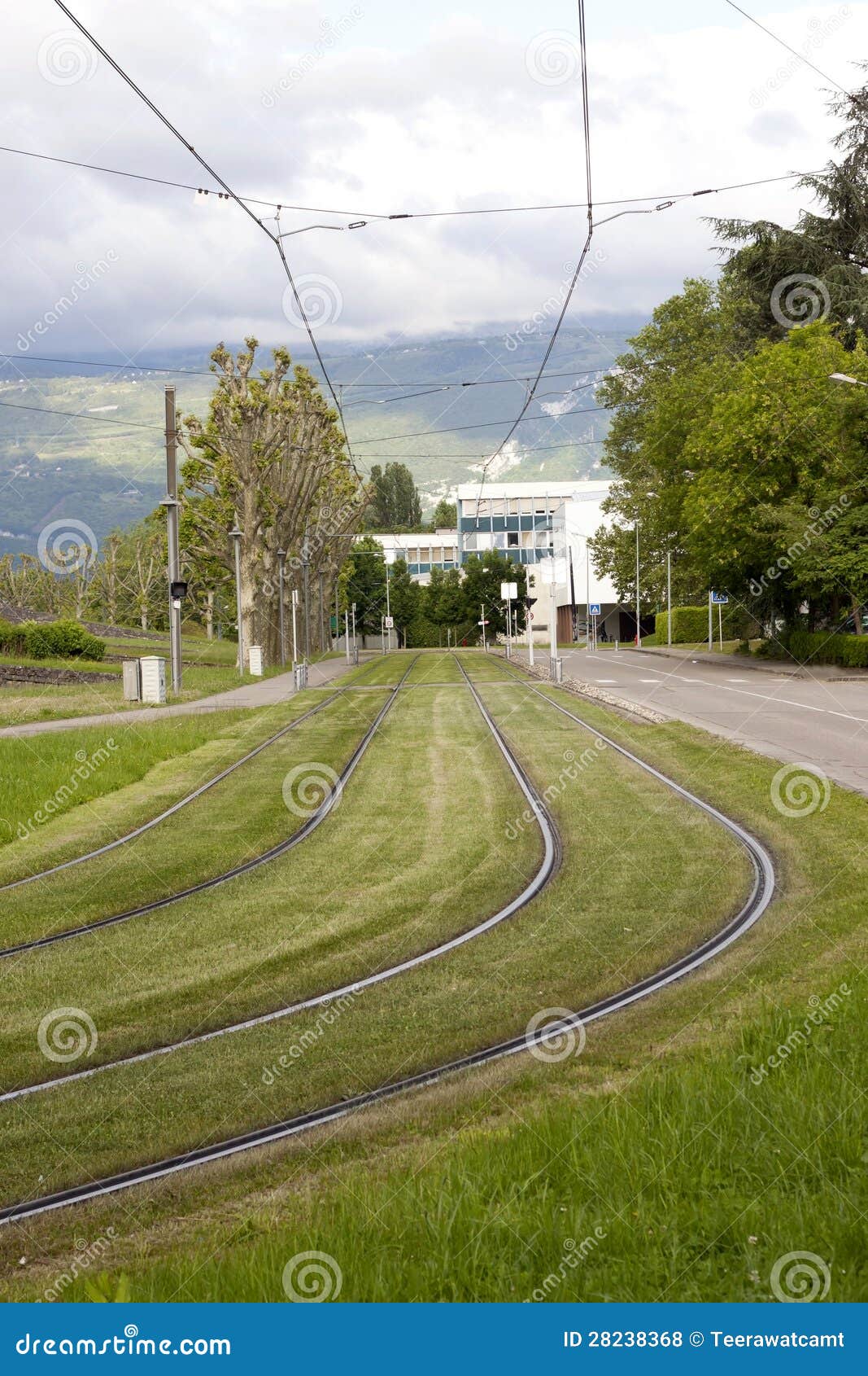 Grass Tram Way stock photo. Image of foliage, background - 28238368