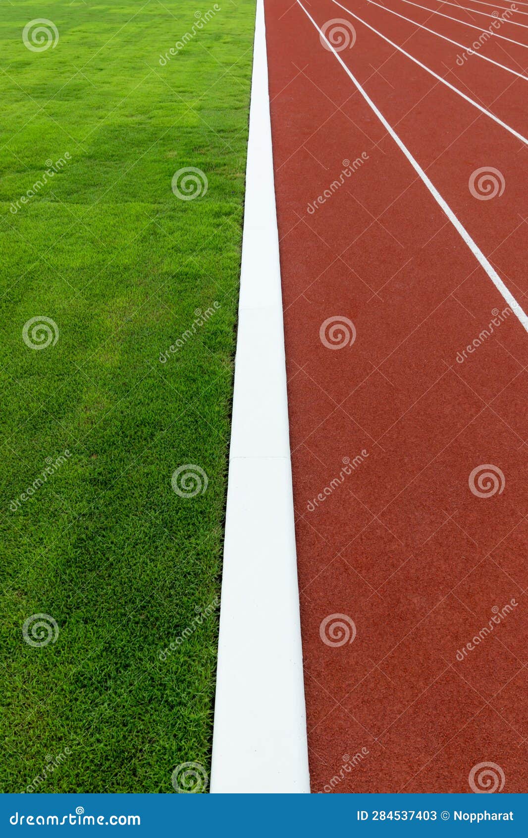 The Grass and Treadmill in the Stadium Stock Image - Image of activity ...