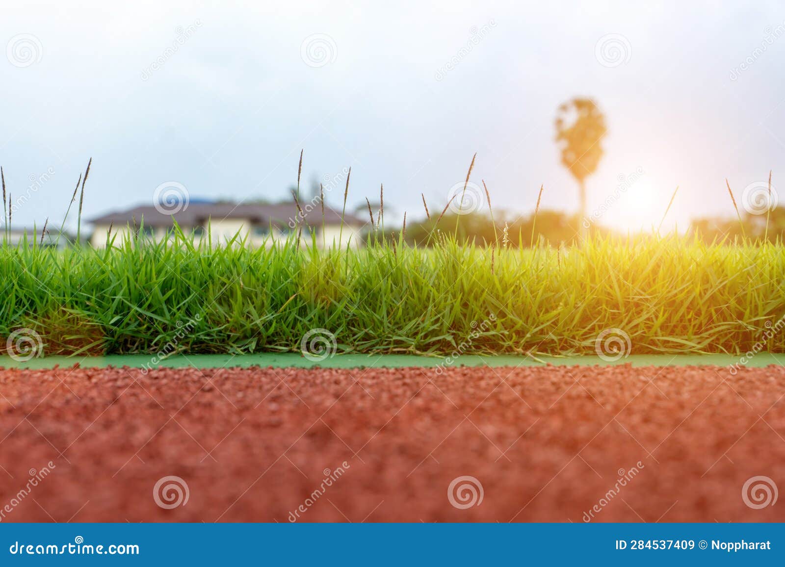The Grass and Treadmill in the Stadium Stock Image - Image of design ...