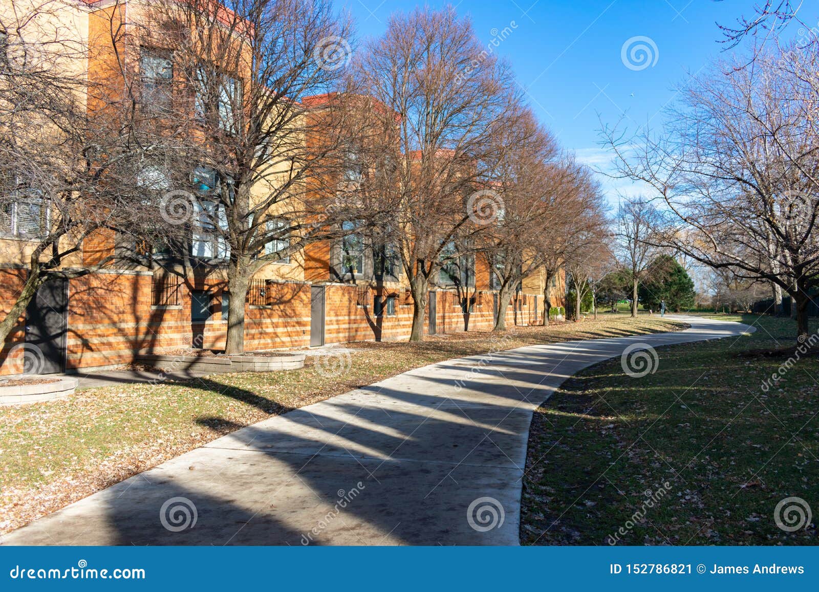 Grass and Tree Lined Path with Residential Buildings in Edgewater ...
