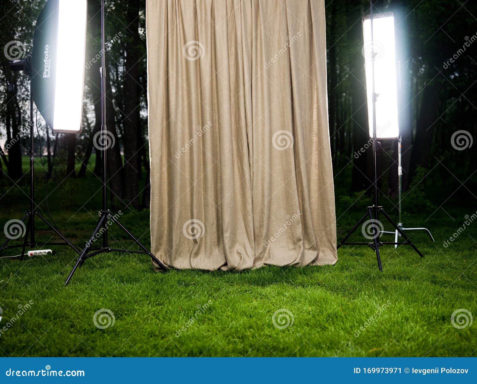 Grass and Trees Background with Studio Strobes and Stands Equipment ...