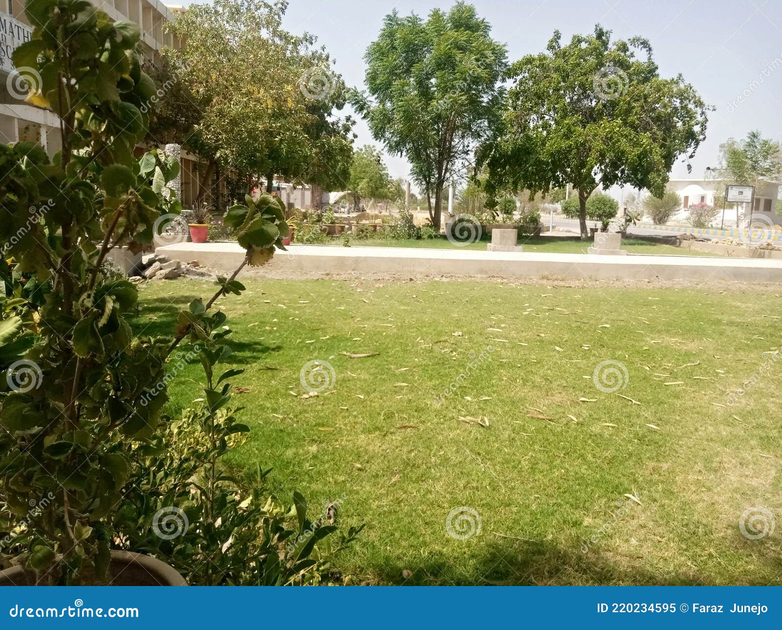 Grass and Trees: a Small Park Stock Image - Image of park, yard: 220234595