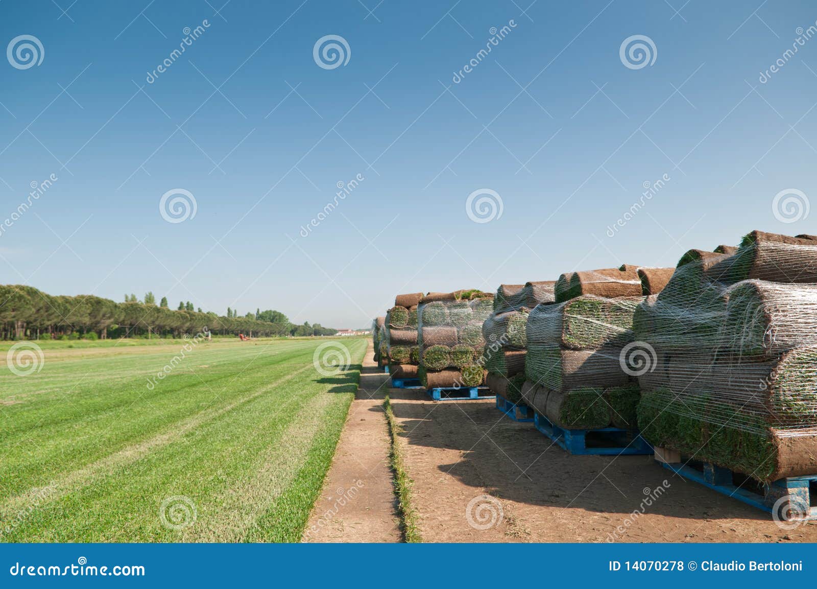 Grass turf stock photo. Image of agricultural, instant - 14070278