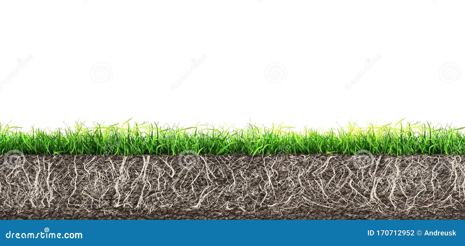 Grass and Turf Soil with Roots Isolated Stock Photo - Image of ...