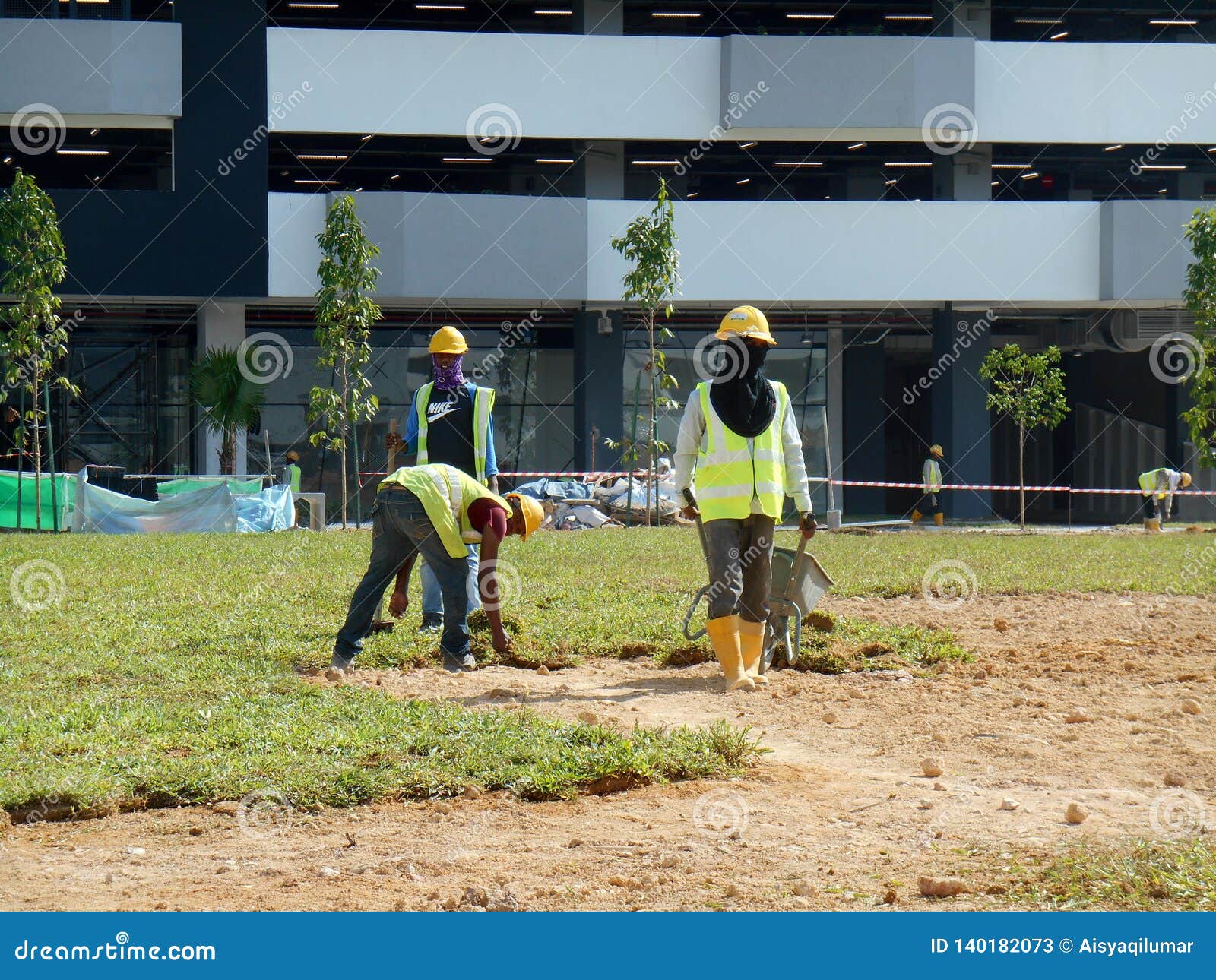 Grass Turfing Works at Open Area Editorial Stock Photo - Image of ...