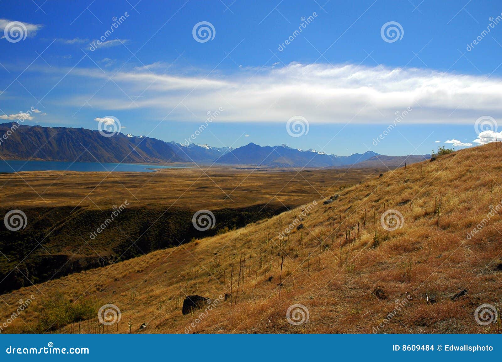 Grass and Tussock Hill at Lake Tekapo Stock Photo - Image of zealand ...