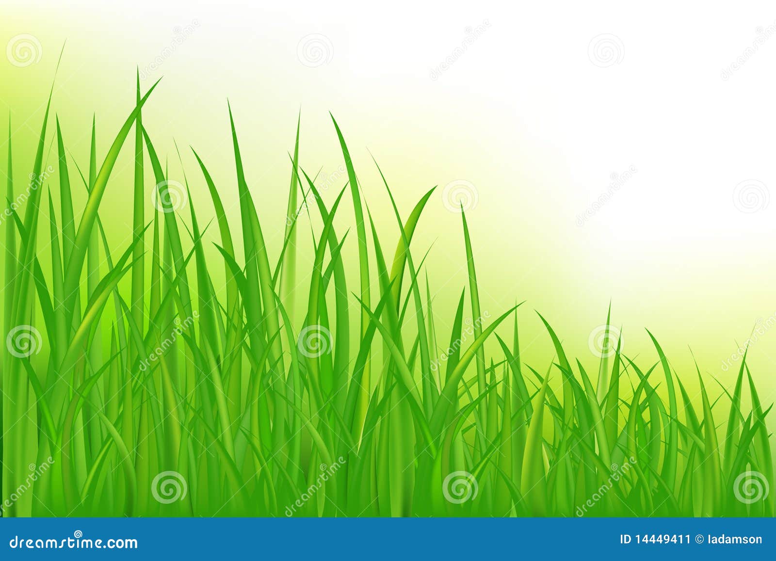 Grass. Vector Picture. Image: 14449411