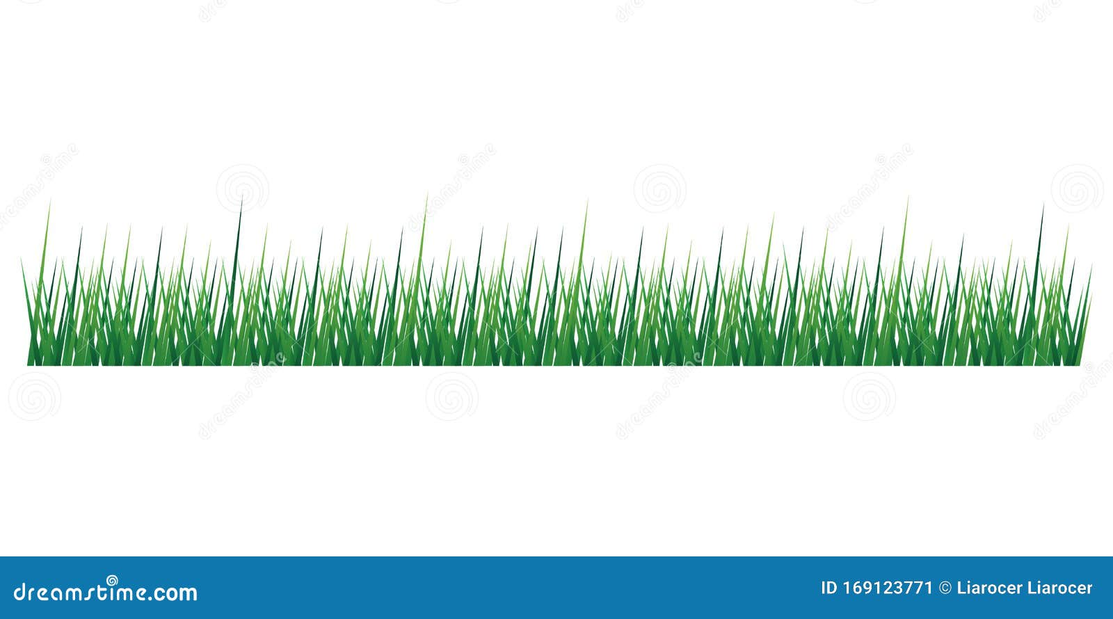 Grass Vector Isolated on Transparent Background Stock Vector ...