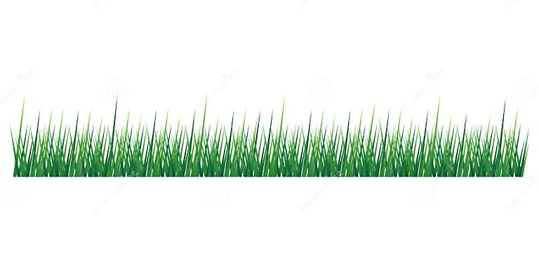 Grass Vector Isolated on Transparent Background Stock Vector ...