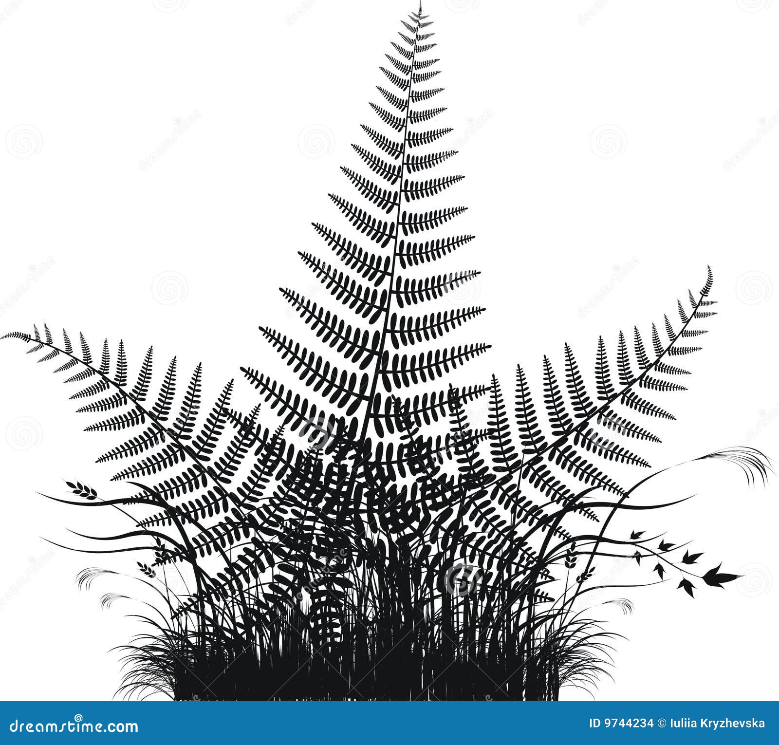Grass Vector Silhouette With Fern Leaves | CartoonDealer.com #9744234