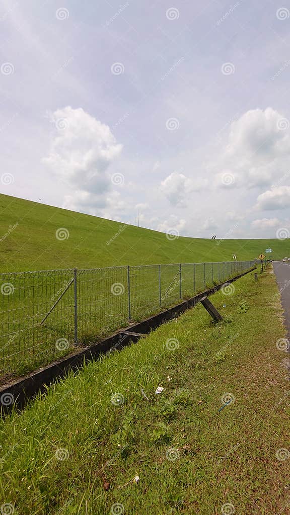 Grass vertical mode stock image. Image of pasture, soil - 263774235