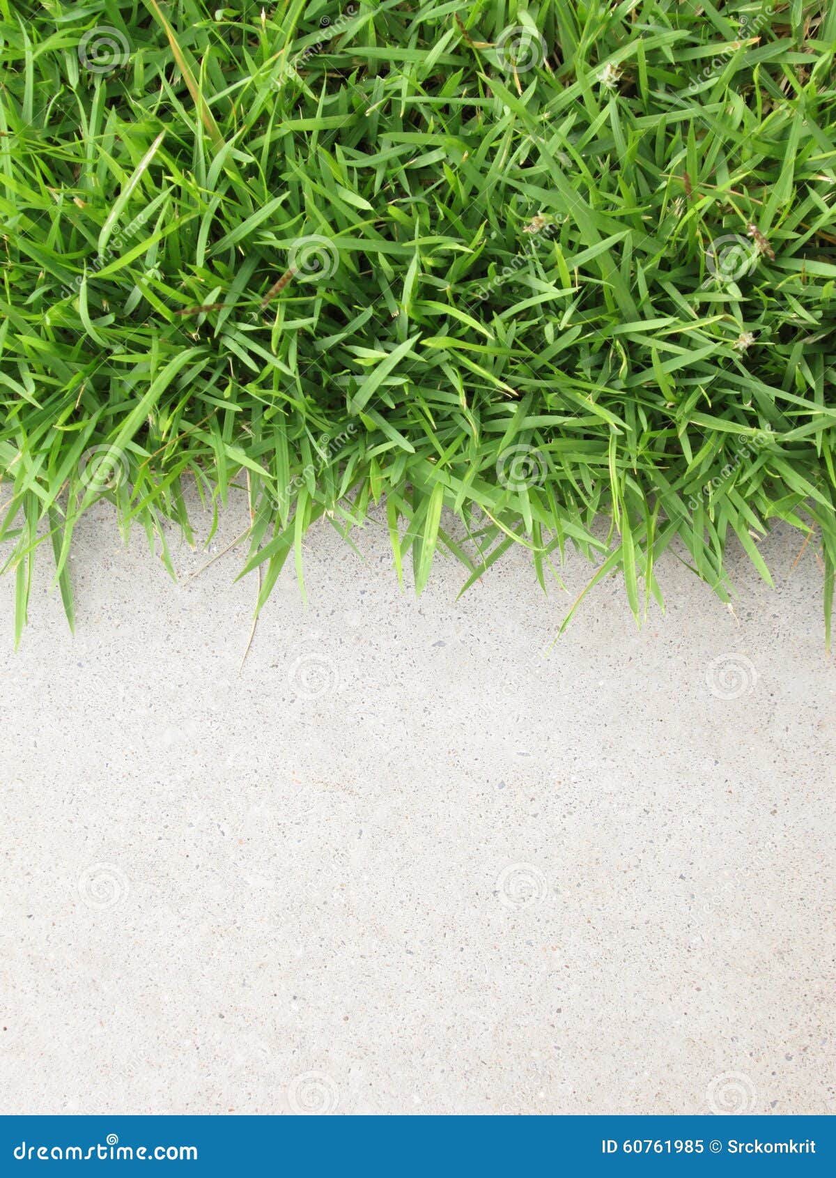 Grass with Walkway Background Stock Image - Image of pattern, land ...