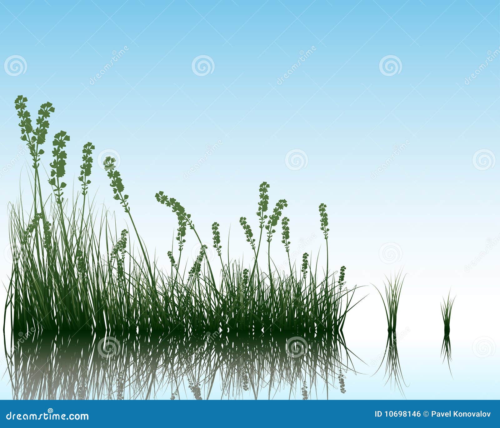 Grass on water stock vector. Illustration of frames, background - 10698146