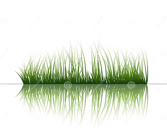 Grass on water stock vector. Illustration of elements - 10698219