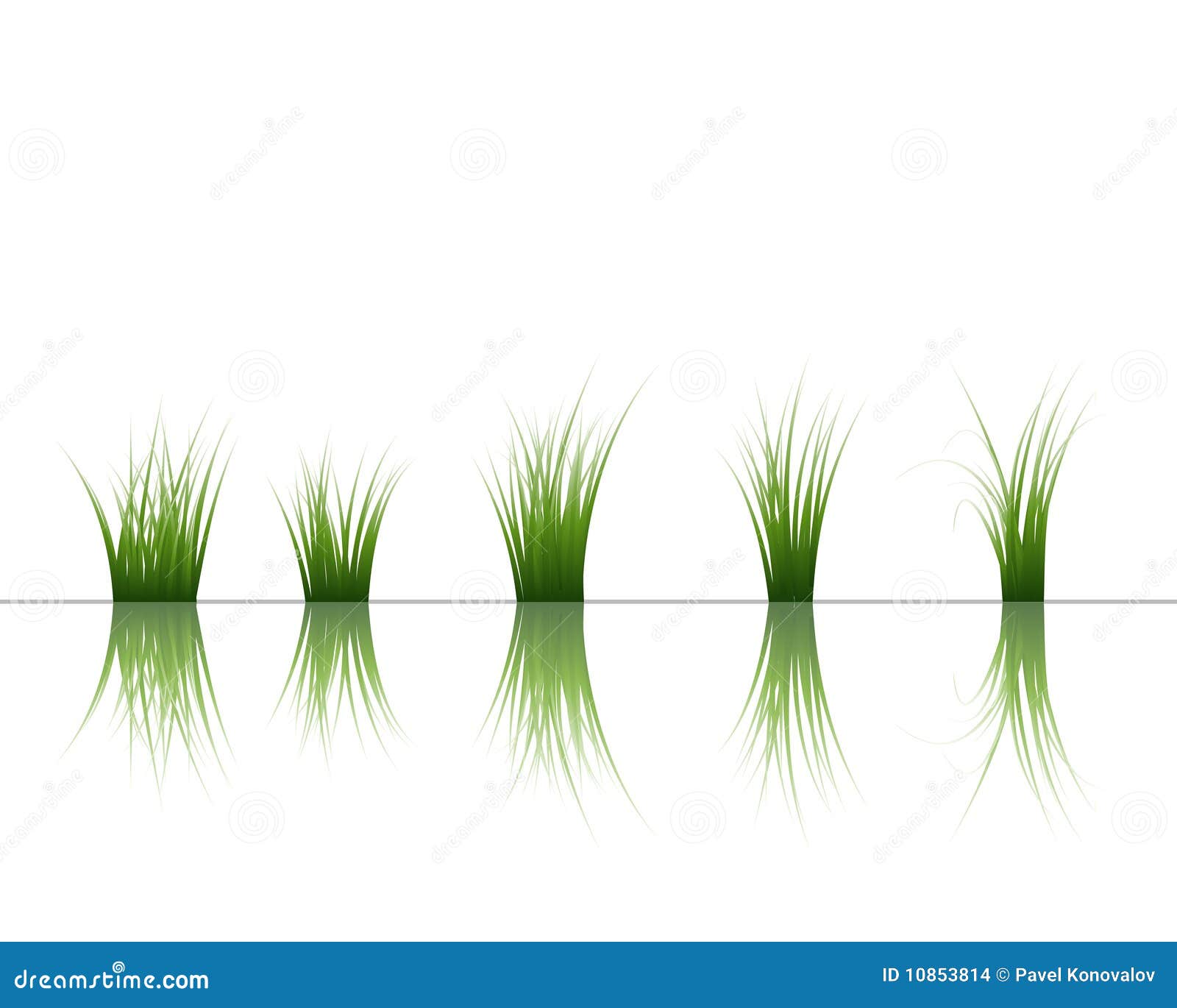 Grass on water stock vector. Illustration of backgrounds - 10853814