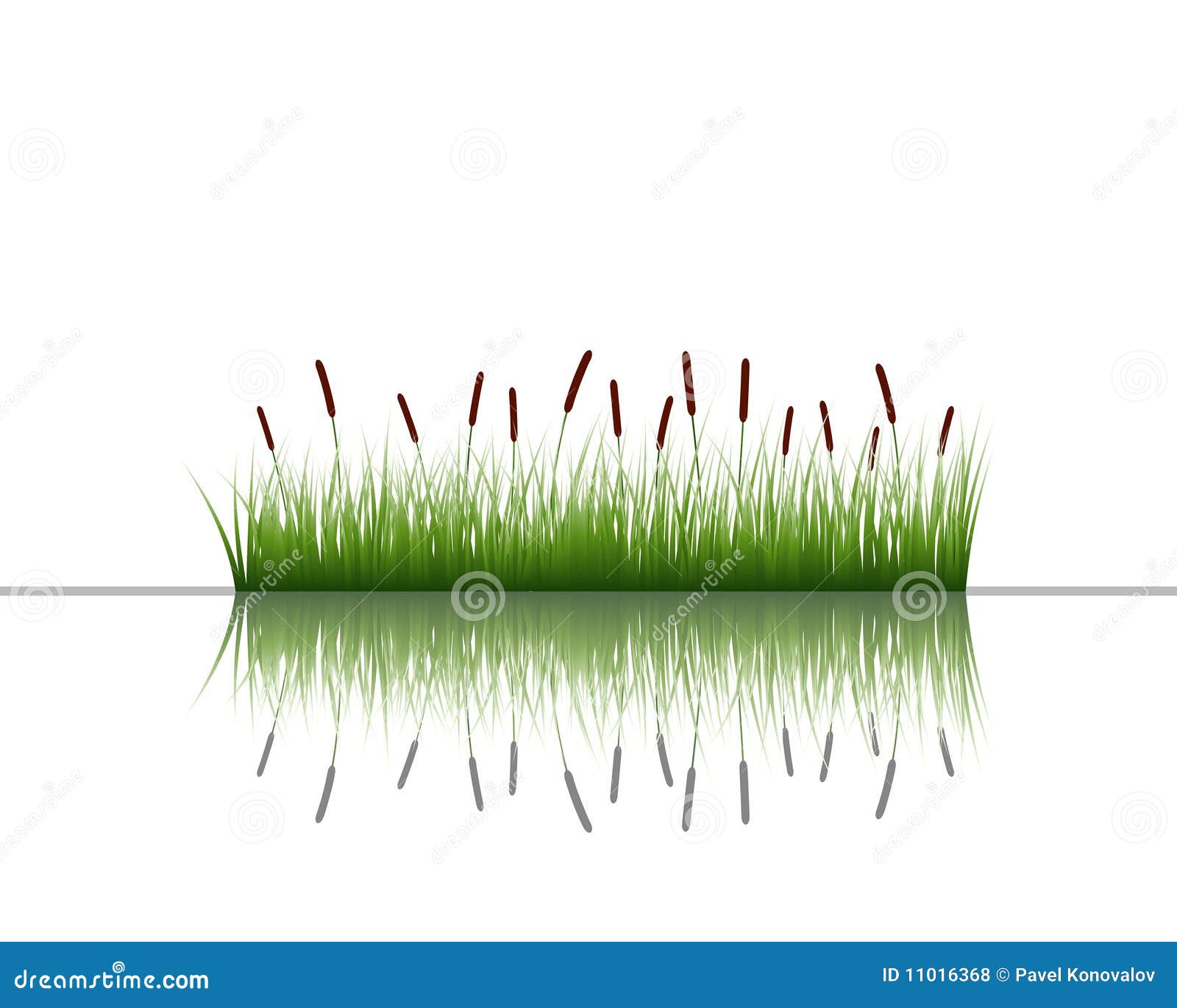 Grass on water stock vector. Illustration of fields, background - 11016368