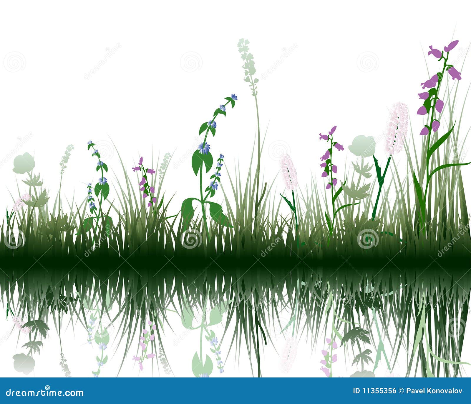 Grass on water stock vector. Illustration of growth, element - 11355356