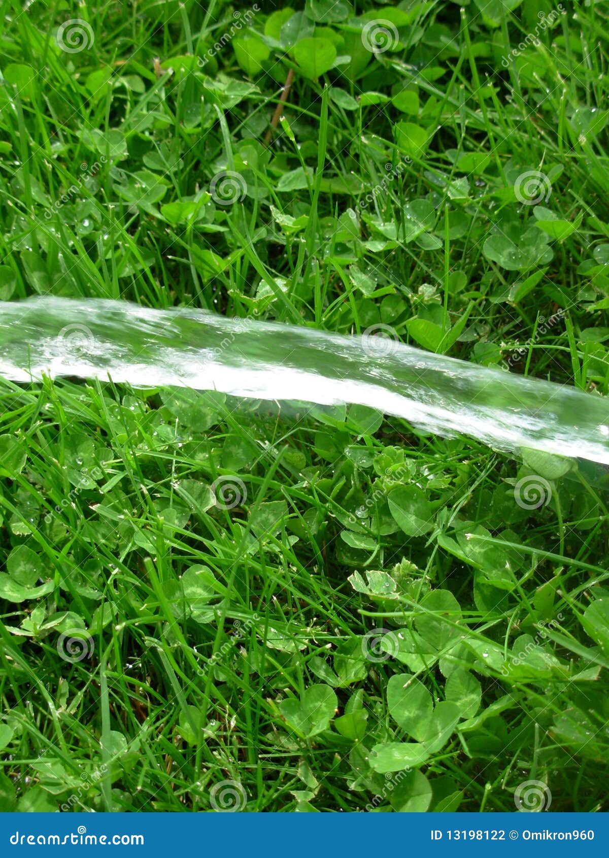 Grass water stock photo. Image of green, nature, splash - 13198122