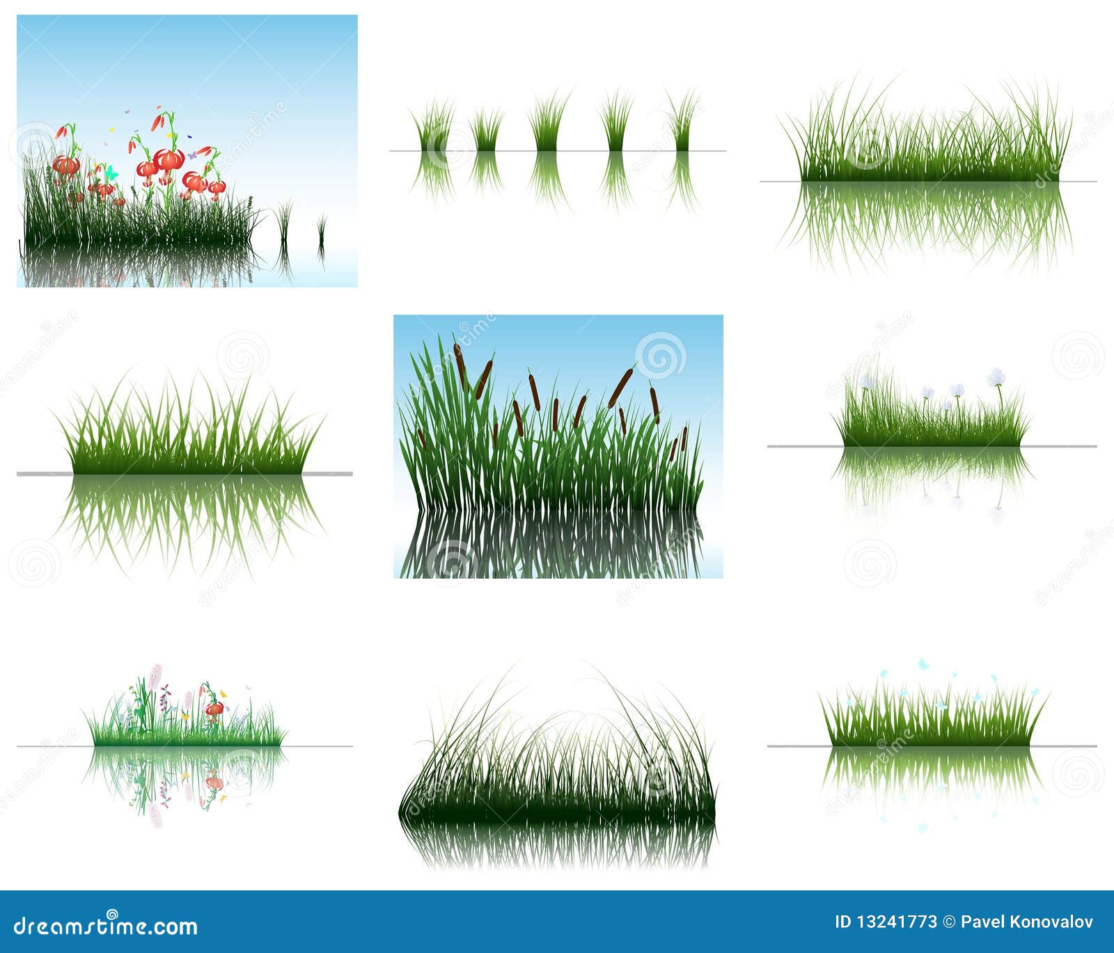 Grass on water stock vector. Illustration of foliage - 13241773