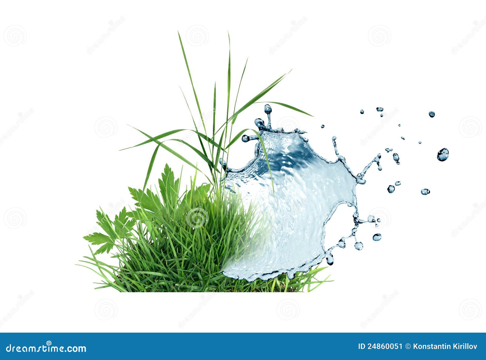Grass and Water stock image. Image of flow, splashing - 24860051