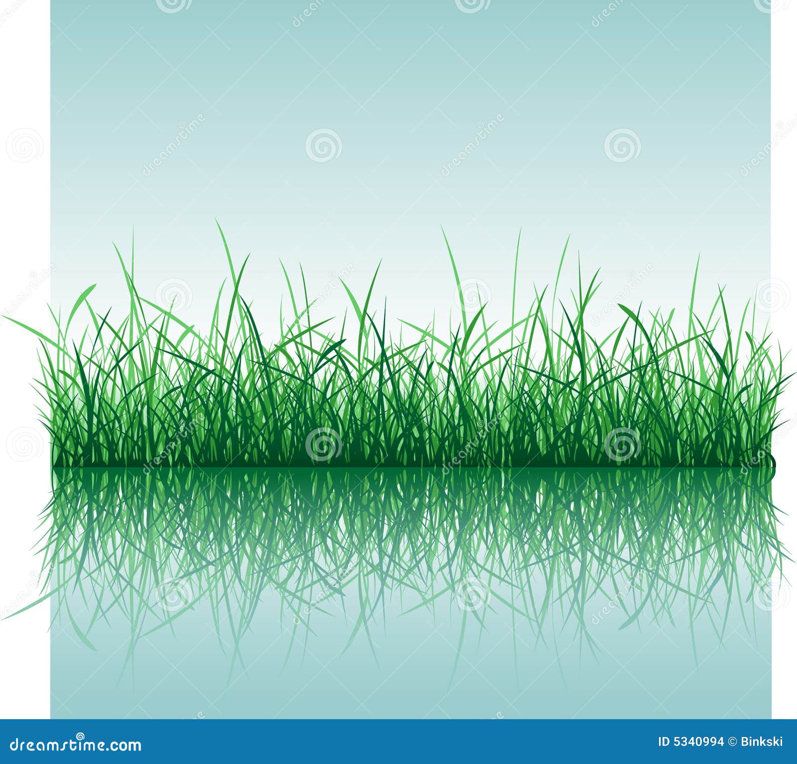 Grass with Water stock vector. Illustration of reflection - 5340994