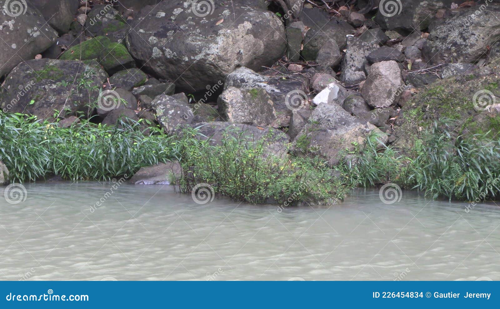 Grass in Water with Current and Rocks Stock Footage - Video of spring ...
