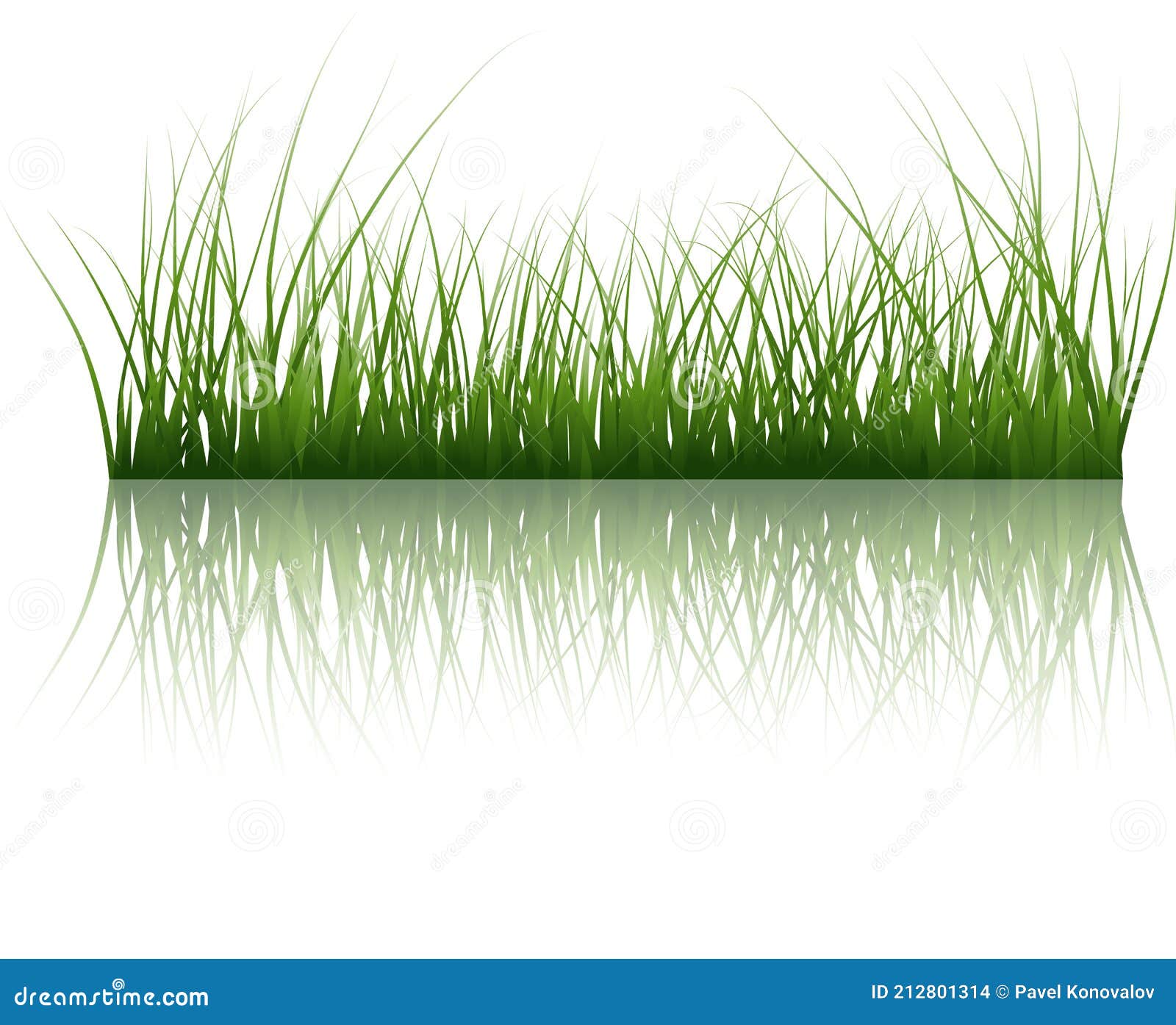 Grass on water stock vector. Illustration of forest - 212801314
