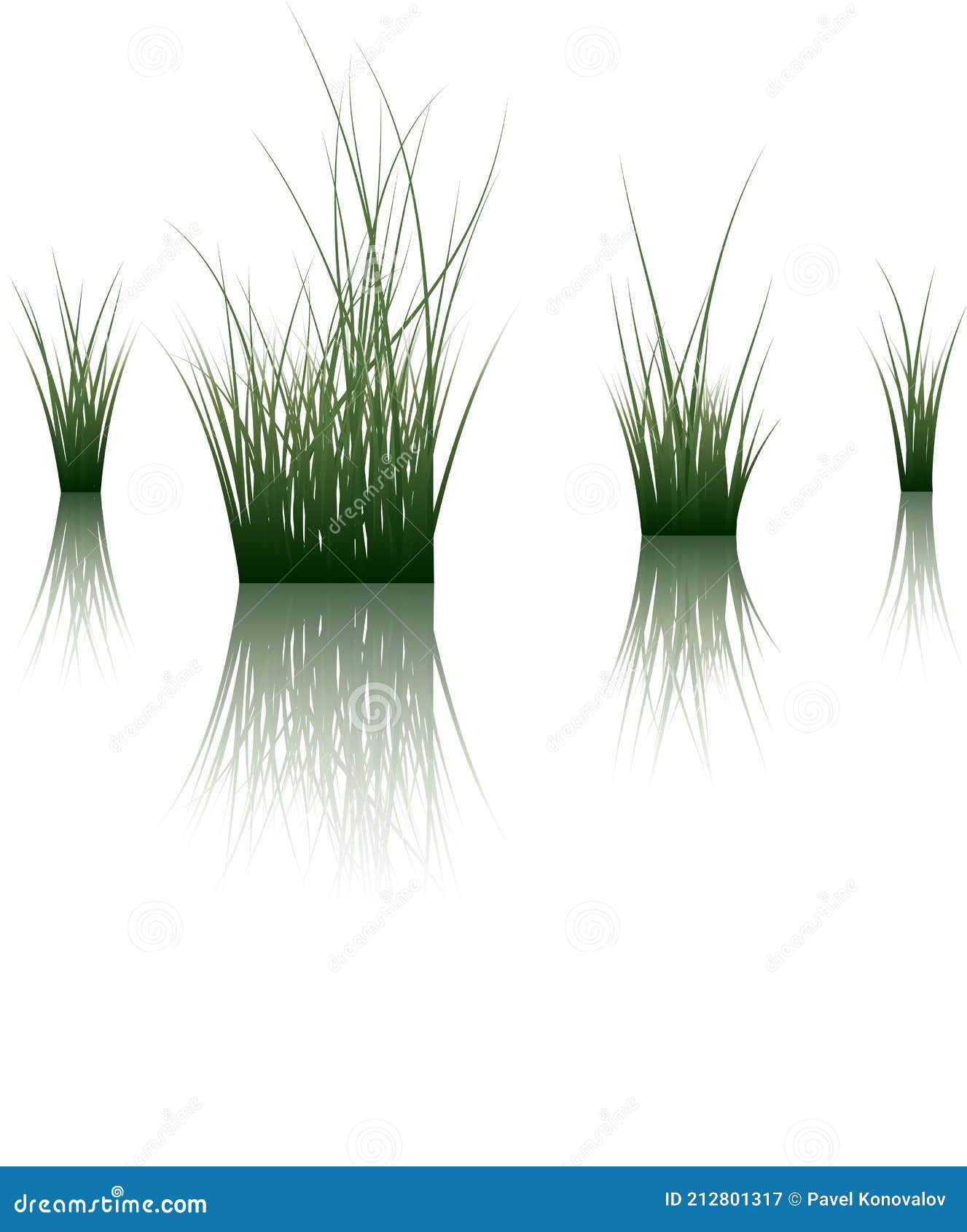 Grass on water stock vector. Illustration of natural - 212801317