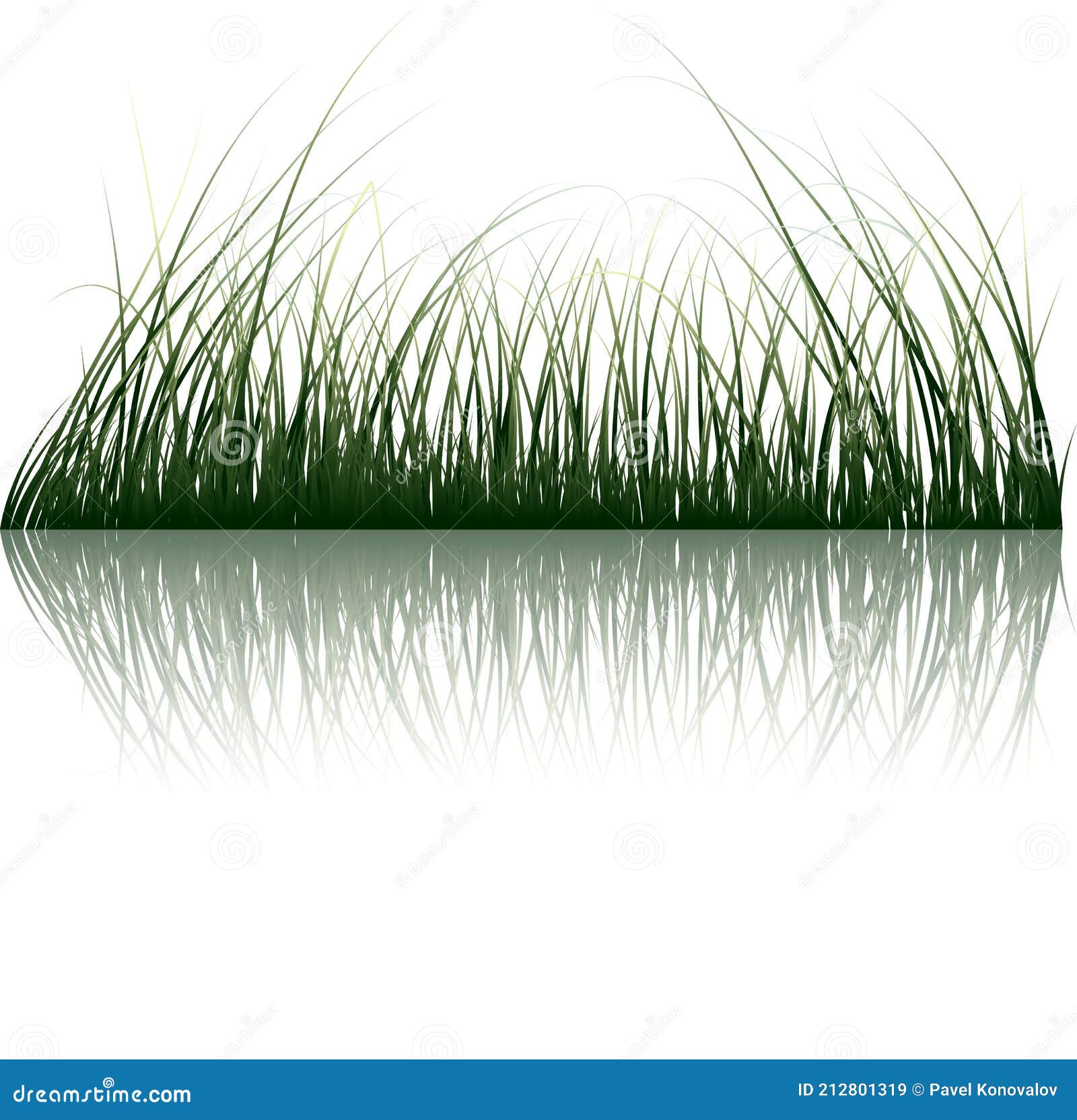 Grass on water stock vector. Illustration of foliage - 212801319
