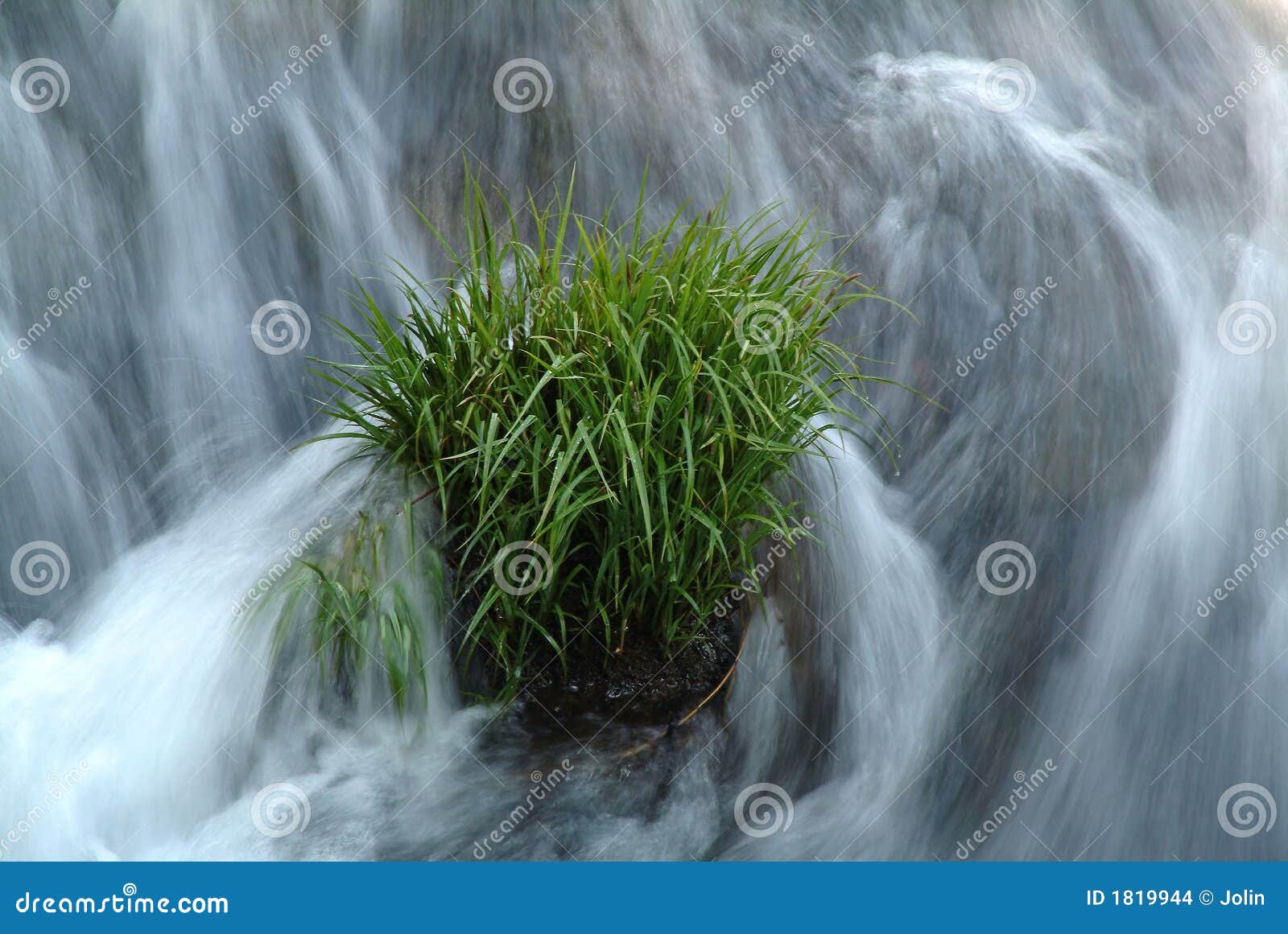 Grass in waterfall stock photo. Image of quiet, blur, plants - 1819944