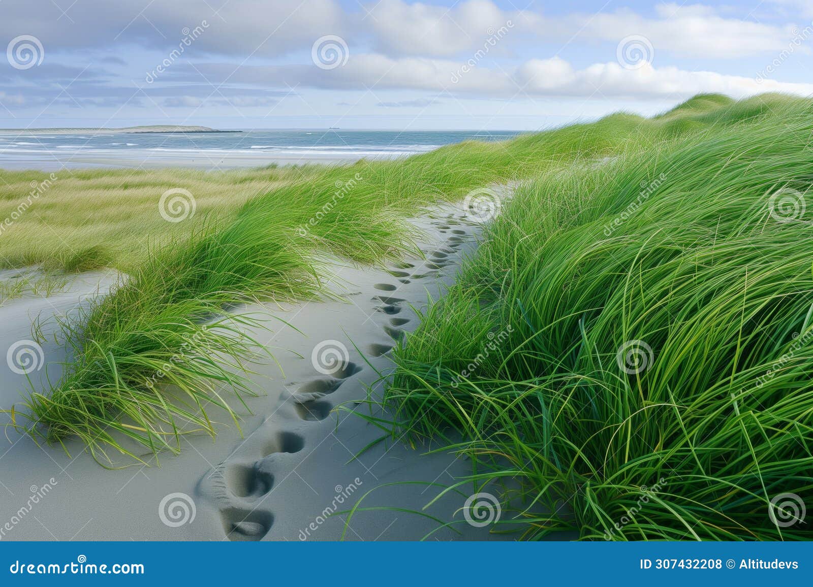 Grass Wave with Footprints Leading To the Shoreline Stock Photo - Image ...