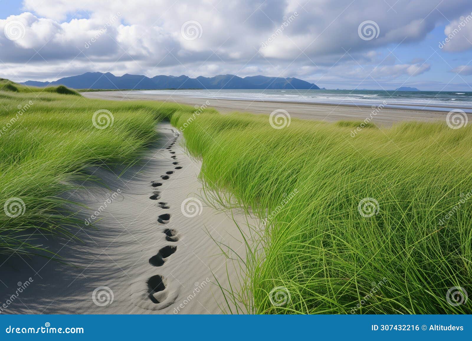 Grass Wave with Footprints Leading To the Shoreline Stock Photo - Image ...