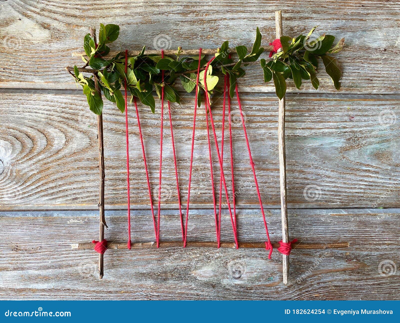 Grass Weaving, Creative, Children`s Craft Step by Step. Stock Photo ...