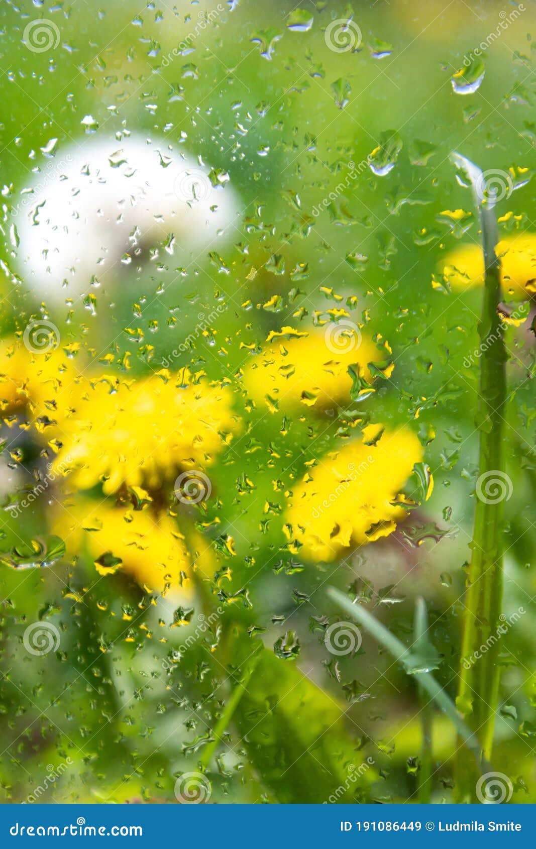 Grass through wet window stock image. Image of lawn - 191086449