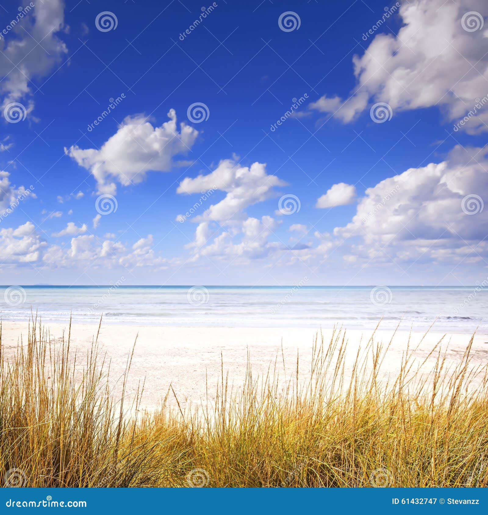 Grass on a White Sand Dunes Beach, Ocean and Blue Sky Stock Image ...