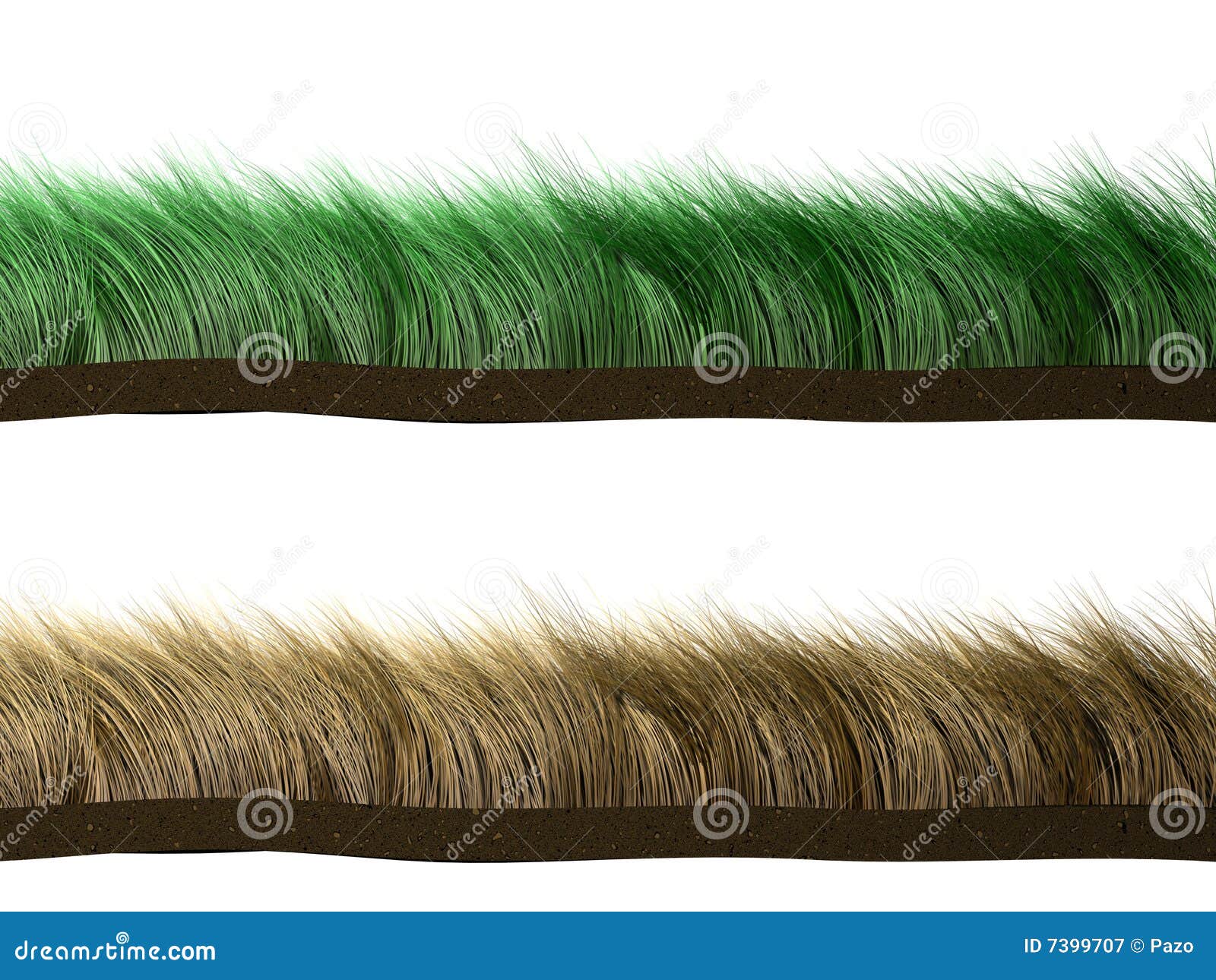 Grass in wind stock illustration. Illustration of nature - 7399707