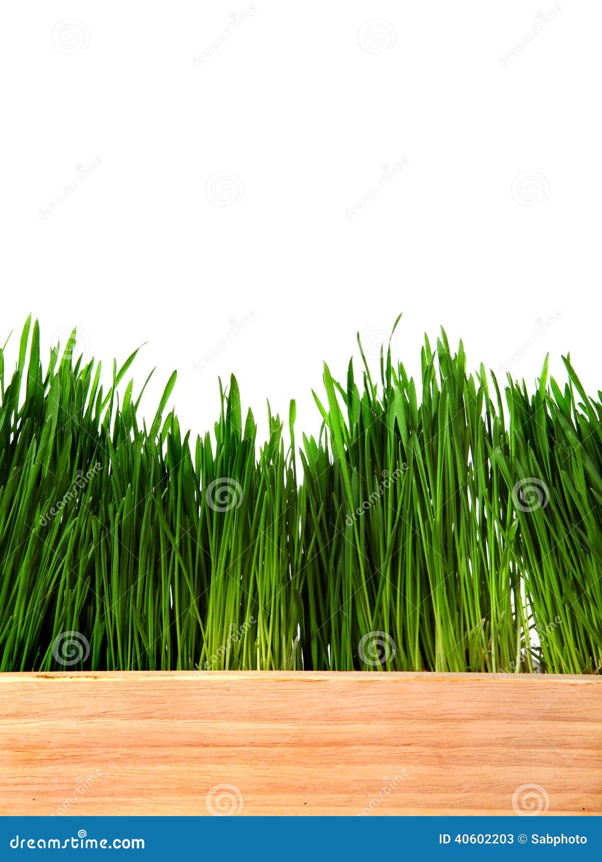 Grass and Wooden Board stock image. Image of life, background - 40602203