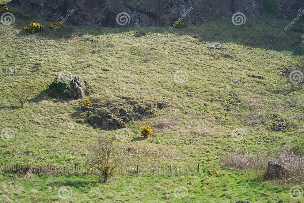 Grassed area stock image. Image of city, edinburgh, attraction - 153053733
