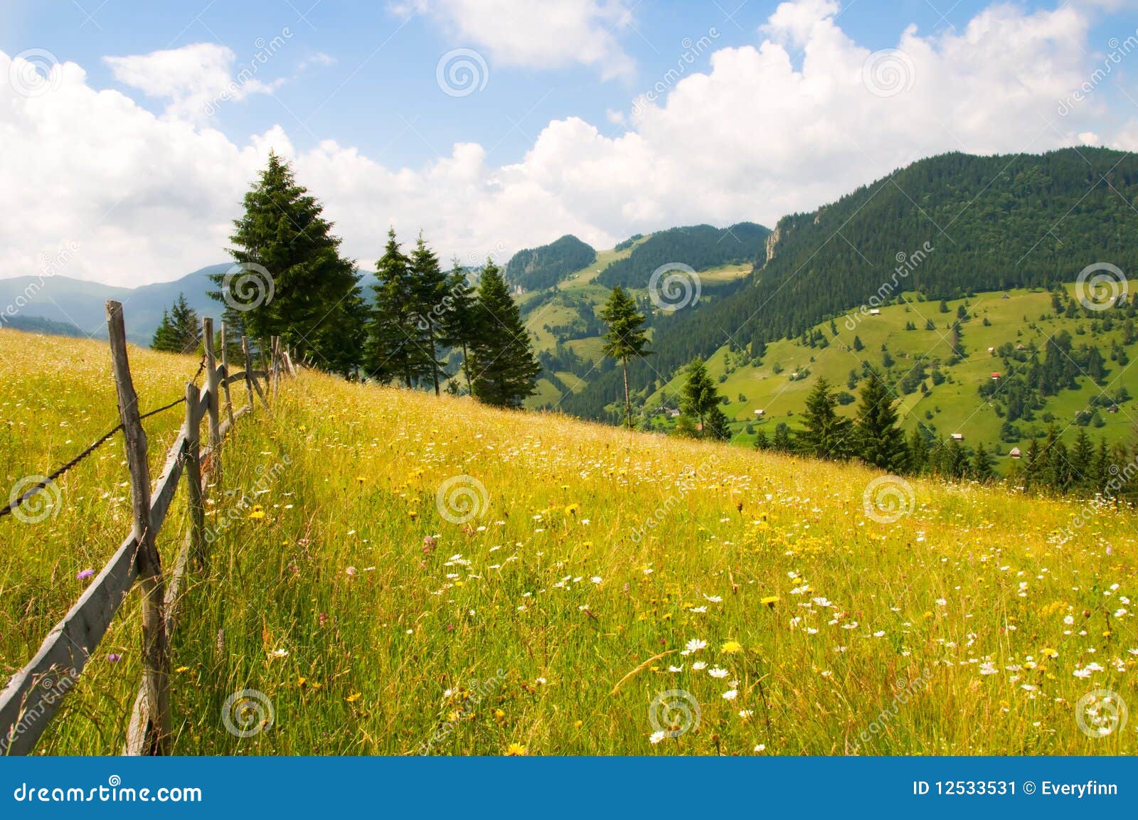 Grassfield stock image. Image of hilly, farm, countryside - 12533531