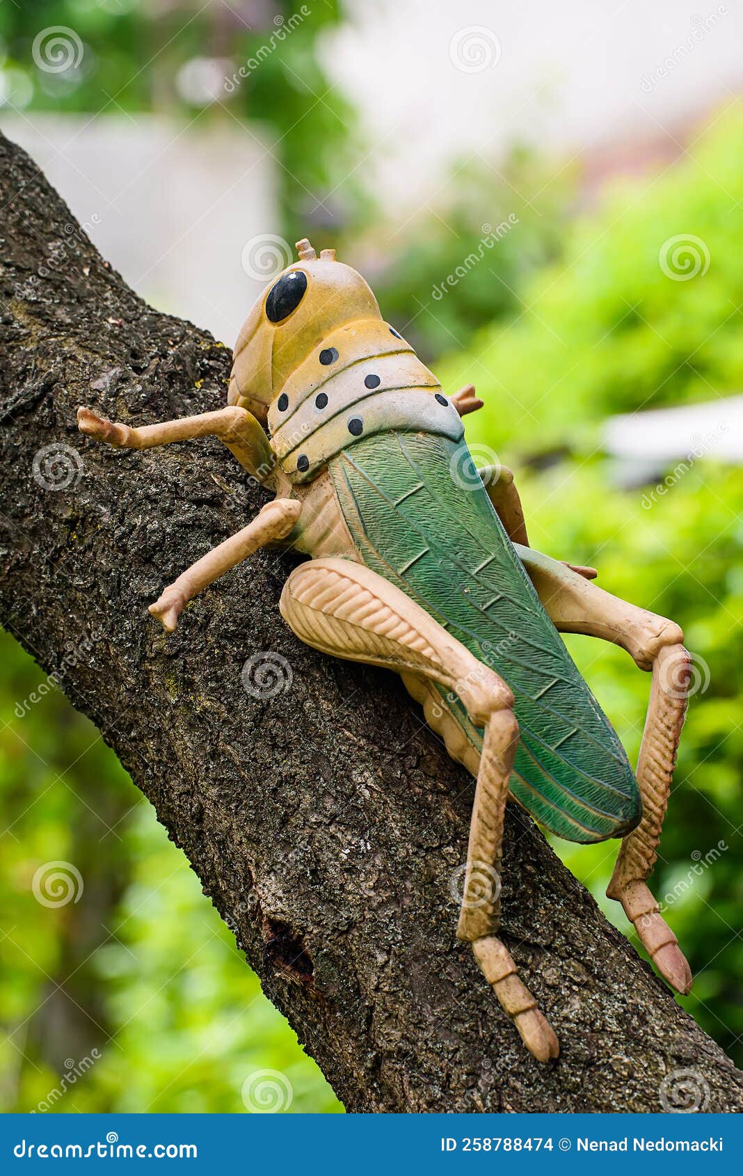 Grasshopper as a yard toy stock photo. Image of child - 258788474