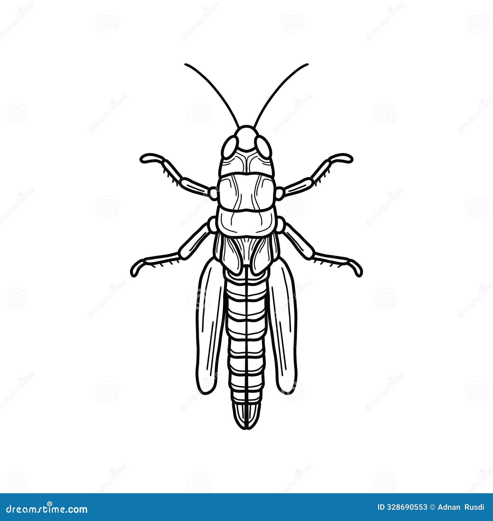 Cricket Insect Animal Species Cartoon Illustration Vector ...