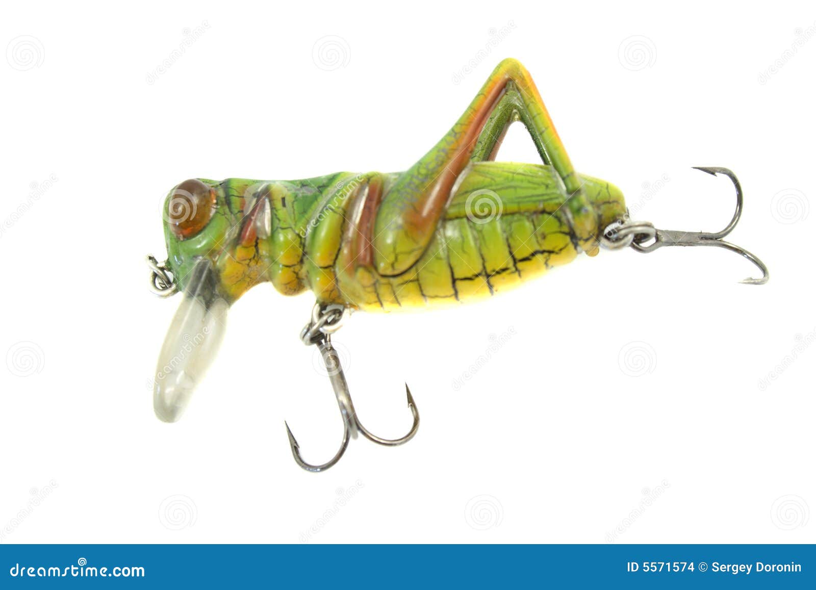 Grasshopper For Fishing Isolated On White Picture. Image: 5571574