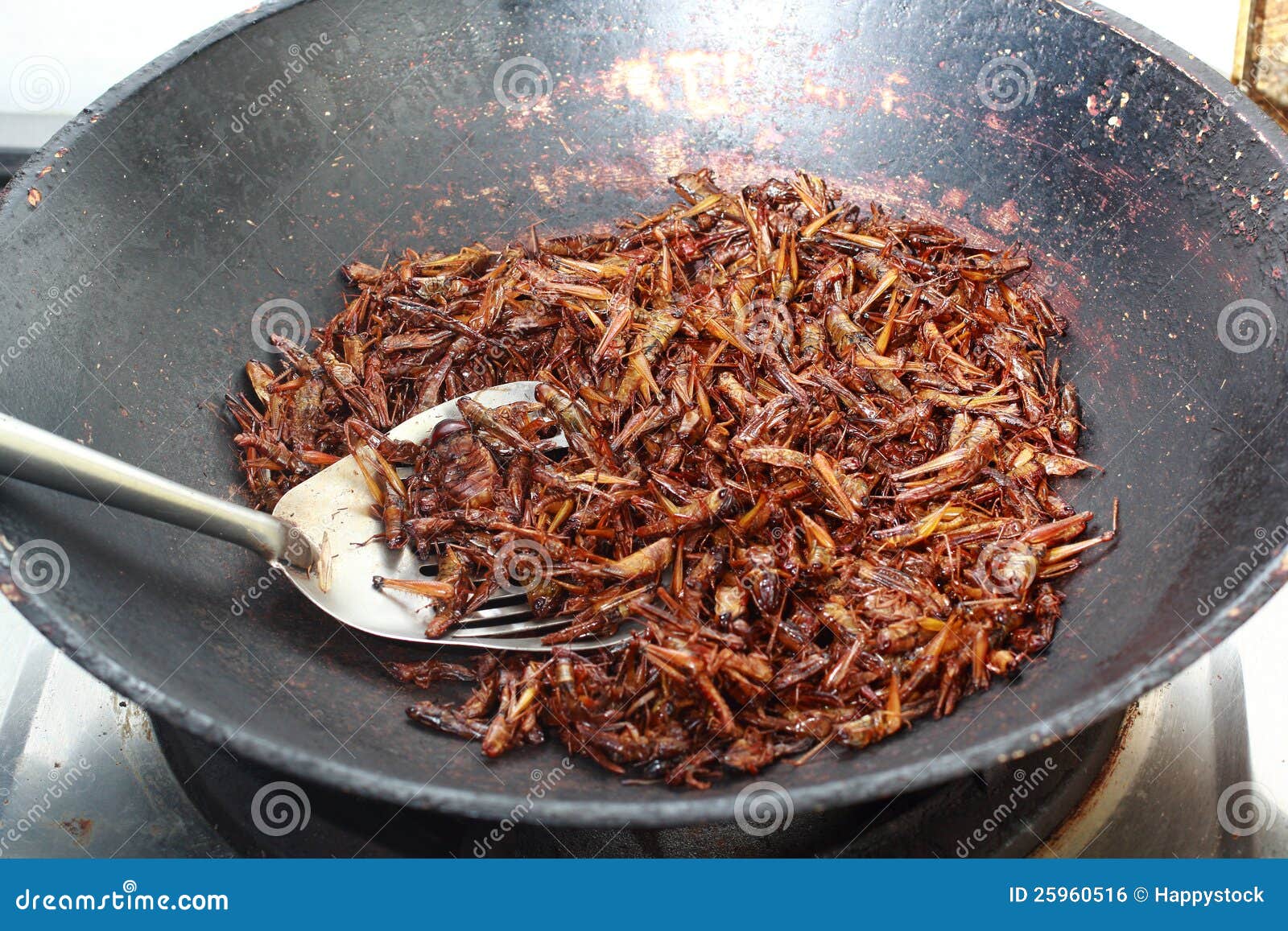 Grasshopper fried stock photo. Image of deep, asian, food - 25960516