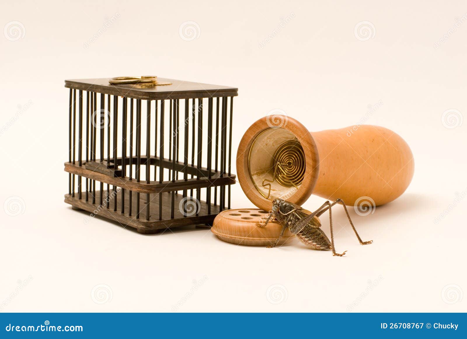 Grasshopper and Gourd and Grasshopper Cage Stock Image - Image of ...